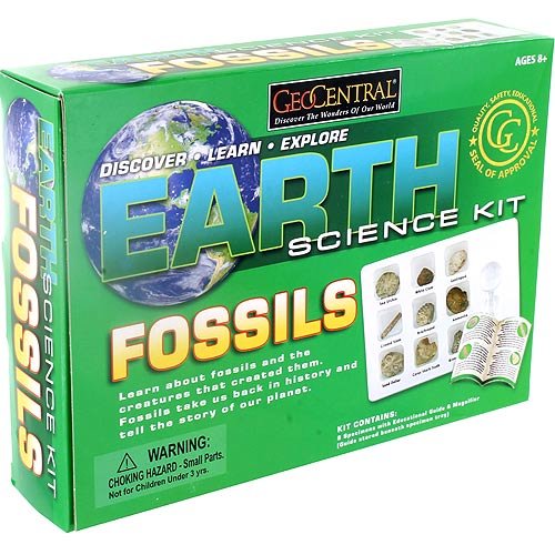 Geocentral Earth Science Fossils Kit-FreedomDaySales.com