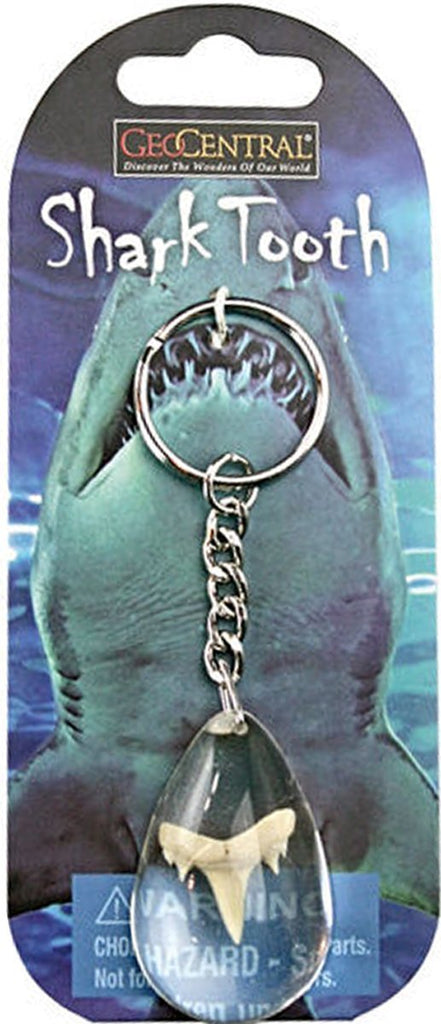 Geocentral Shark Tooth Key Chains-FreedomDaySales.com
